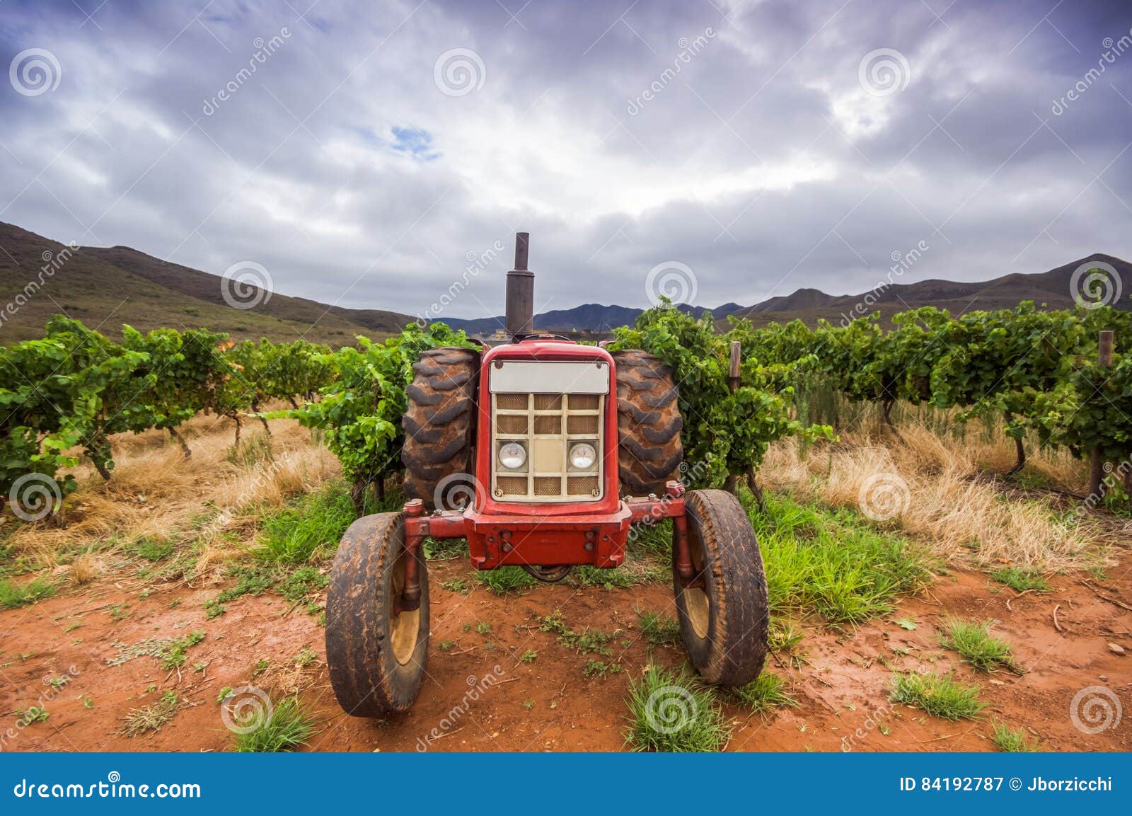 Tractor in a vineyard stock image. Image of industry - 84192787