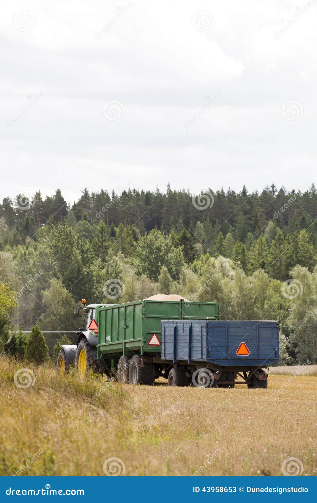 Tractor and Wagons with Wheat Editorial Stock Photo - Image of grains ...