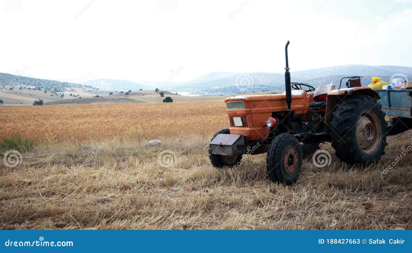 Tractor in wheat field stock image. Image of cereal - 188427663