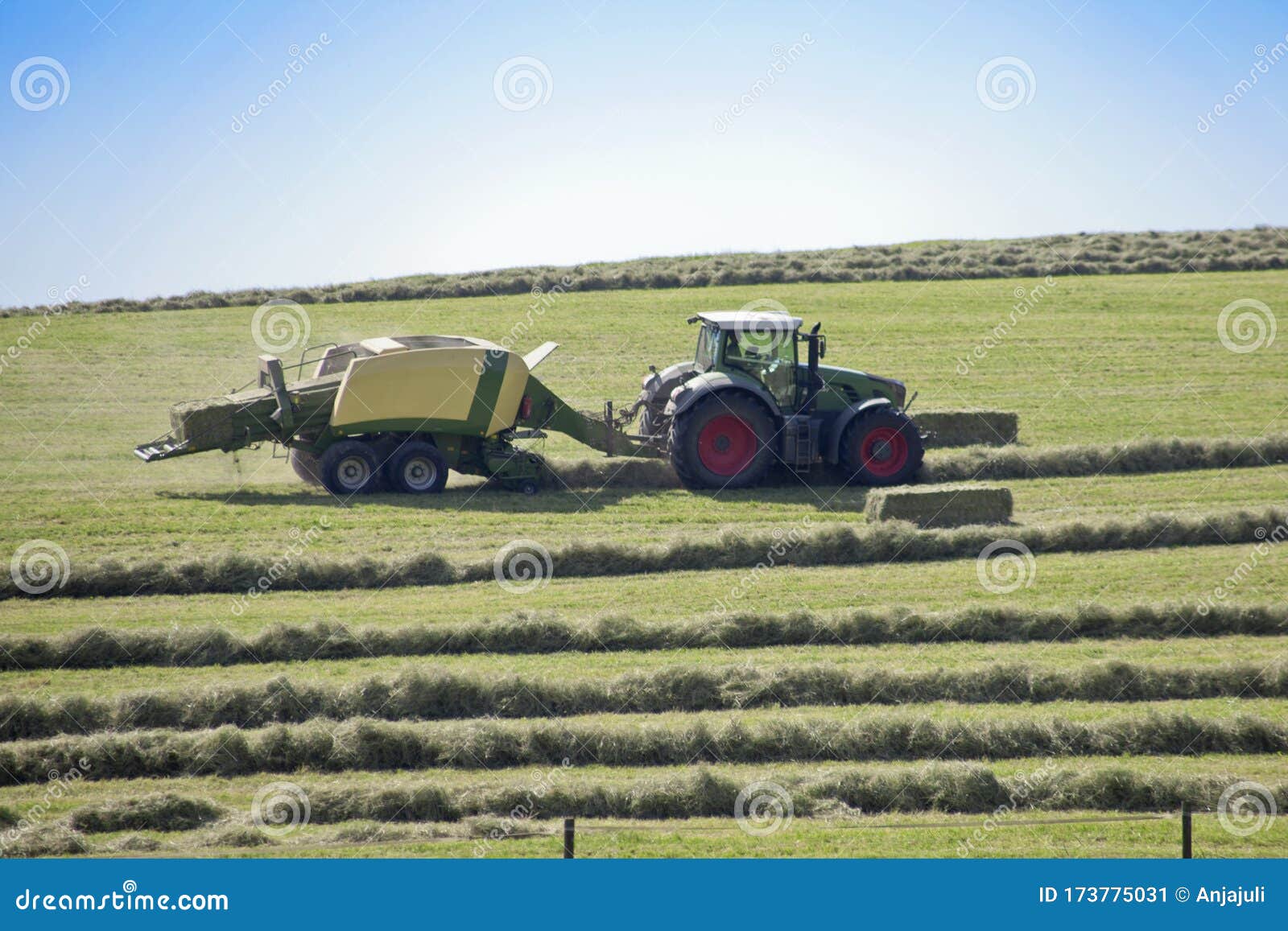 Tractor at Work in Field Loading Hay Stacks Stock Image - Image of ...
