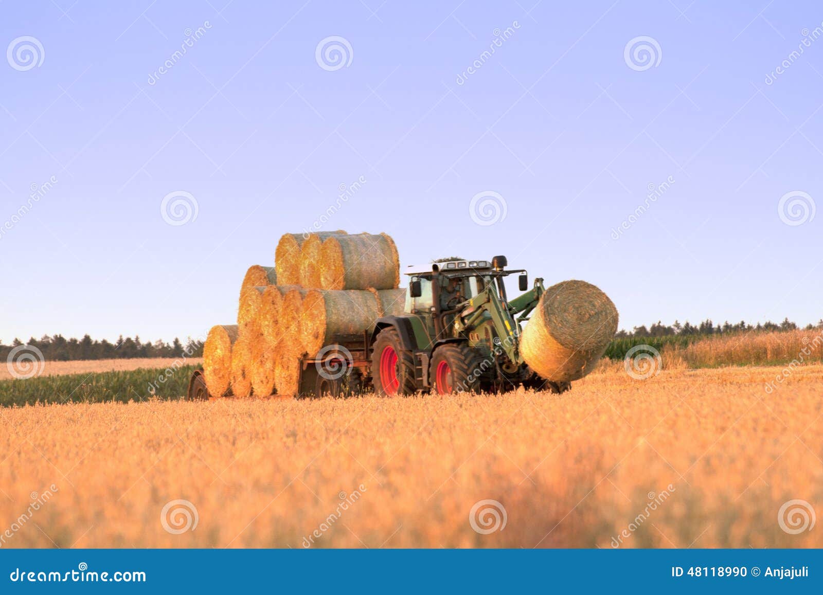 Tractor at Work on Field Transporting Haystacks Editorial Image - Image ...