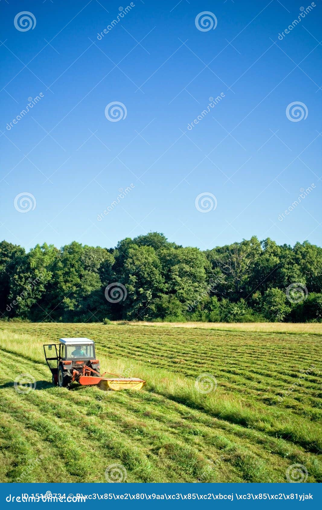 Tractor Working, Agricultural Work Stock Photo - Image of plant, green ...
