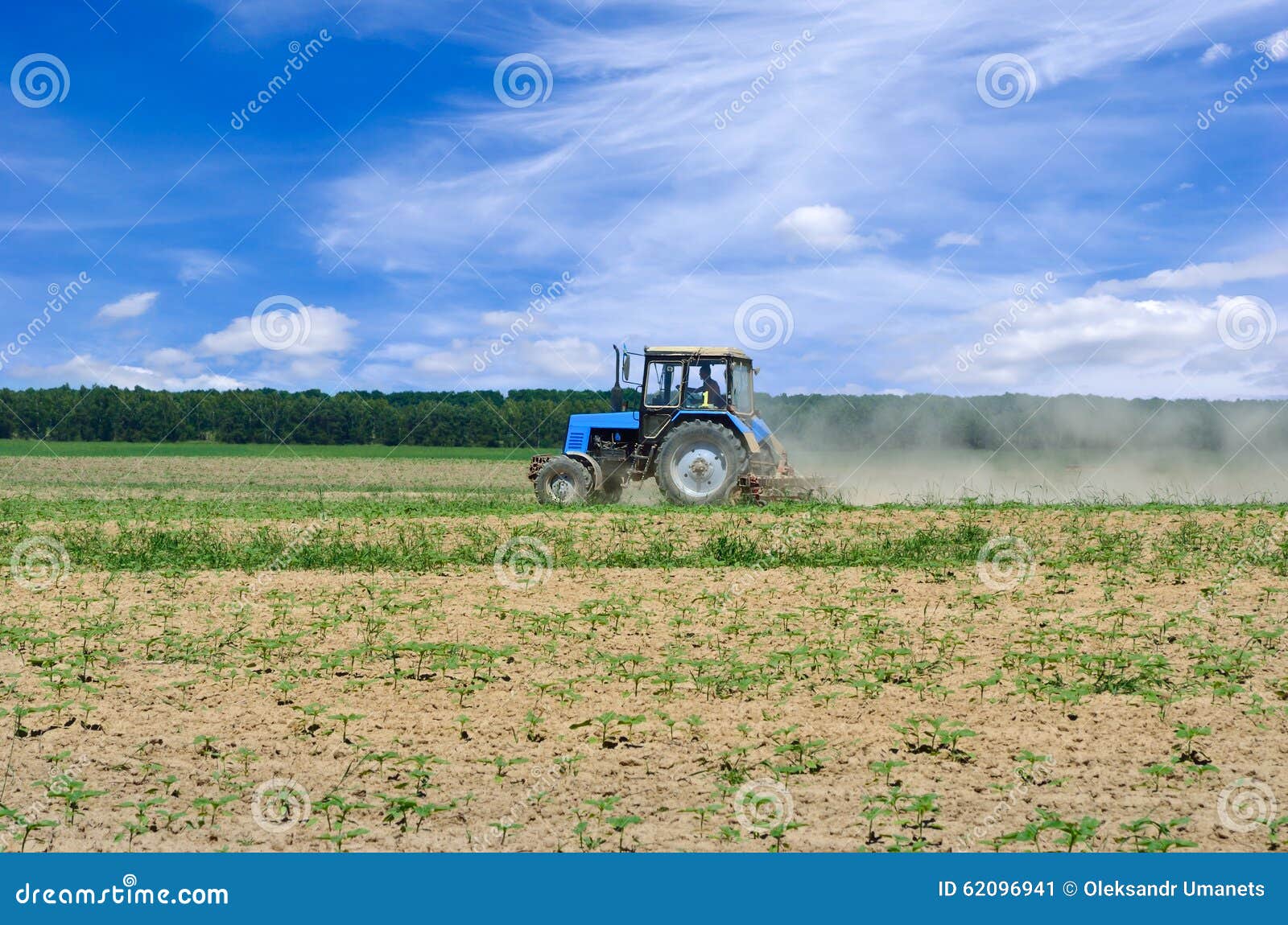 Tractor Working in the Field, Against the Blue Sky Stock Image - Image ...