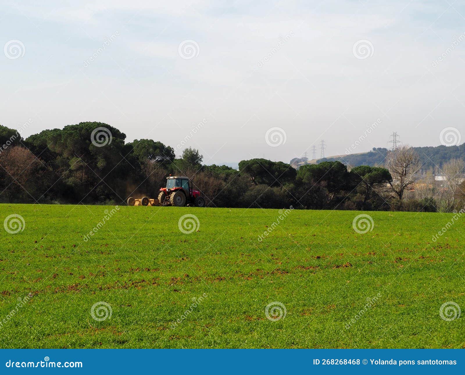 Tractor Working in Field with Trees Behind Stock Photo - Image of grass ...