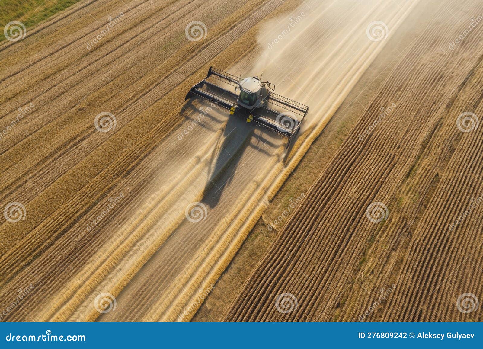 A Tractor Works a Field of Wheat. Top View AI Generation Stock ...