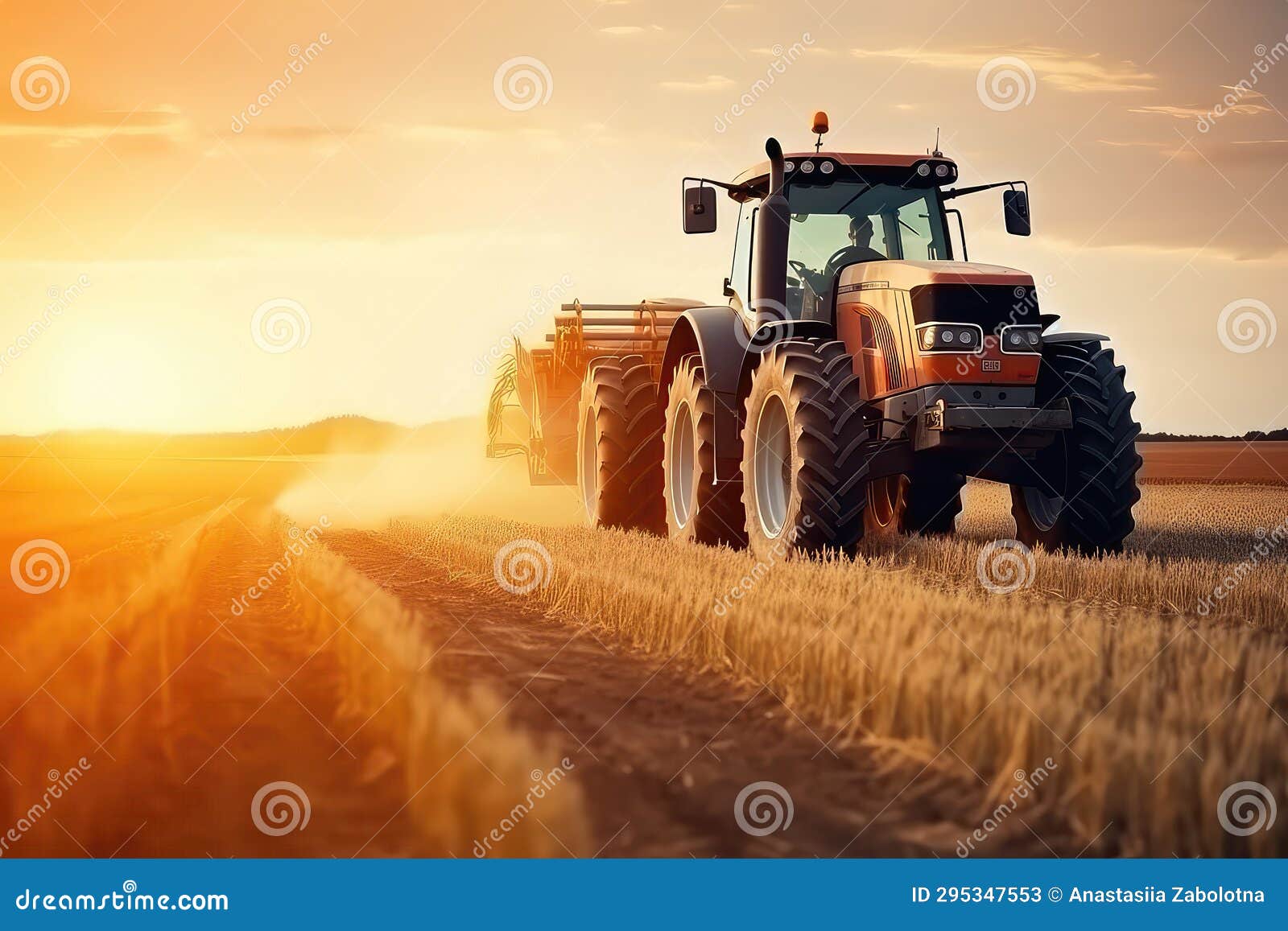 Tractor Works on Wheat Fields during Sunset on the Farm Stock ...