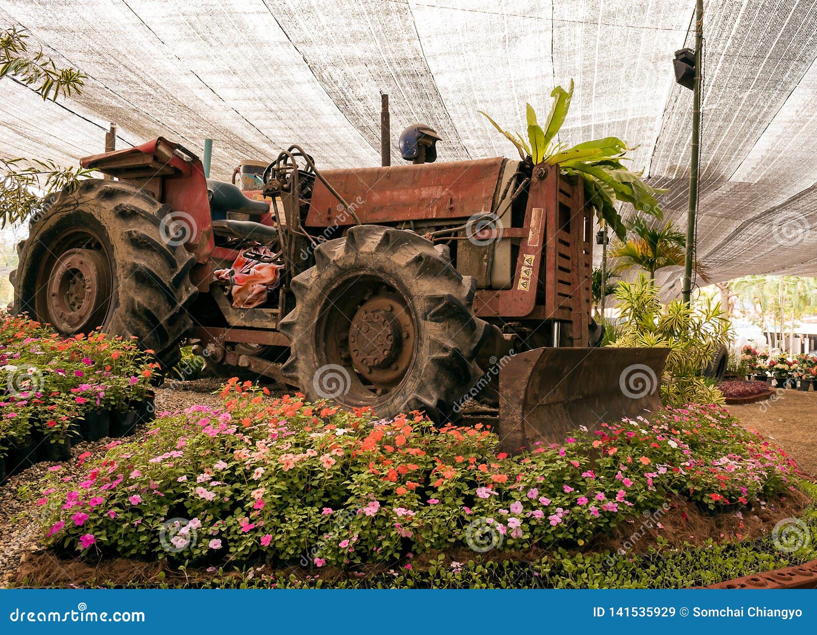 Tractors and flowers stock image. Image of closeup, asia - 141535929