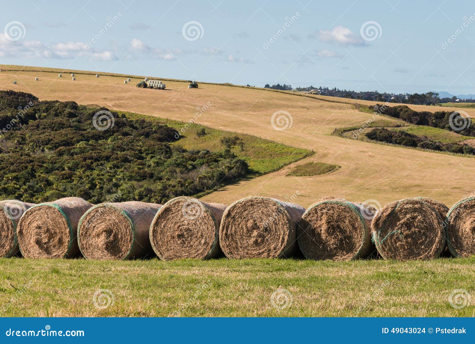 Tractors harvesting hay stock photo. Image of time, bales - 49043024