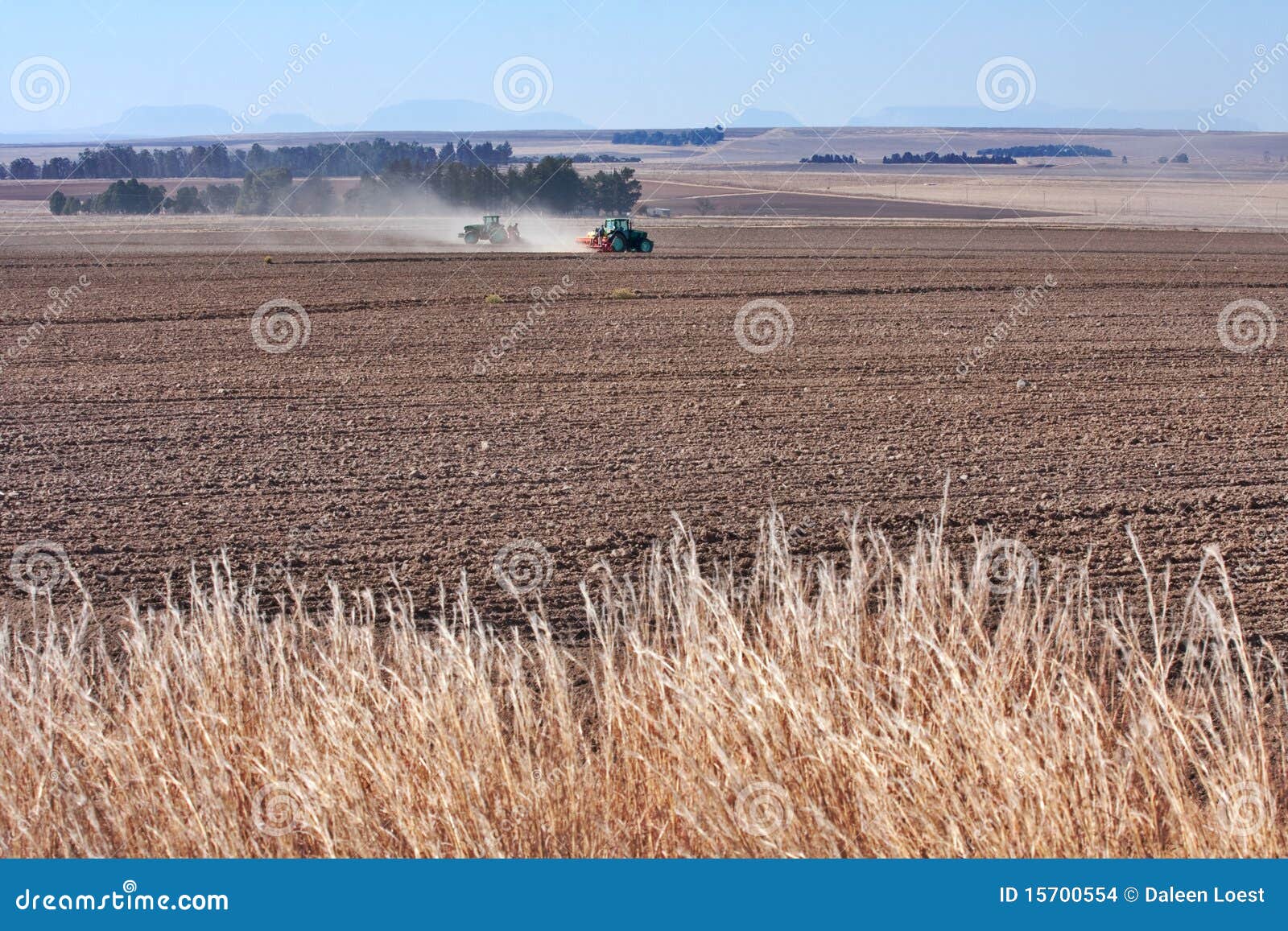 Tractors planting wheat stock photo. Image of winter - 15700554
