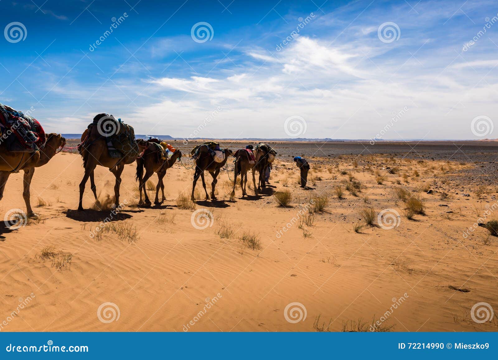 Trade Caravan in the Desert. Stock Photo - Image of travel, sand: 72214990