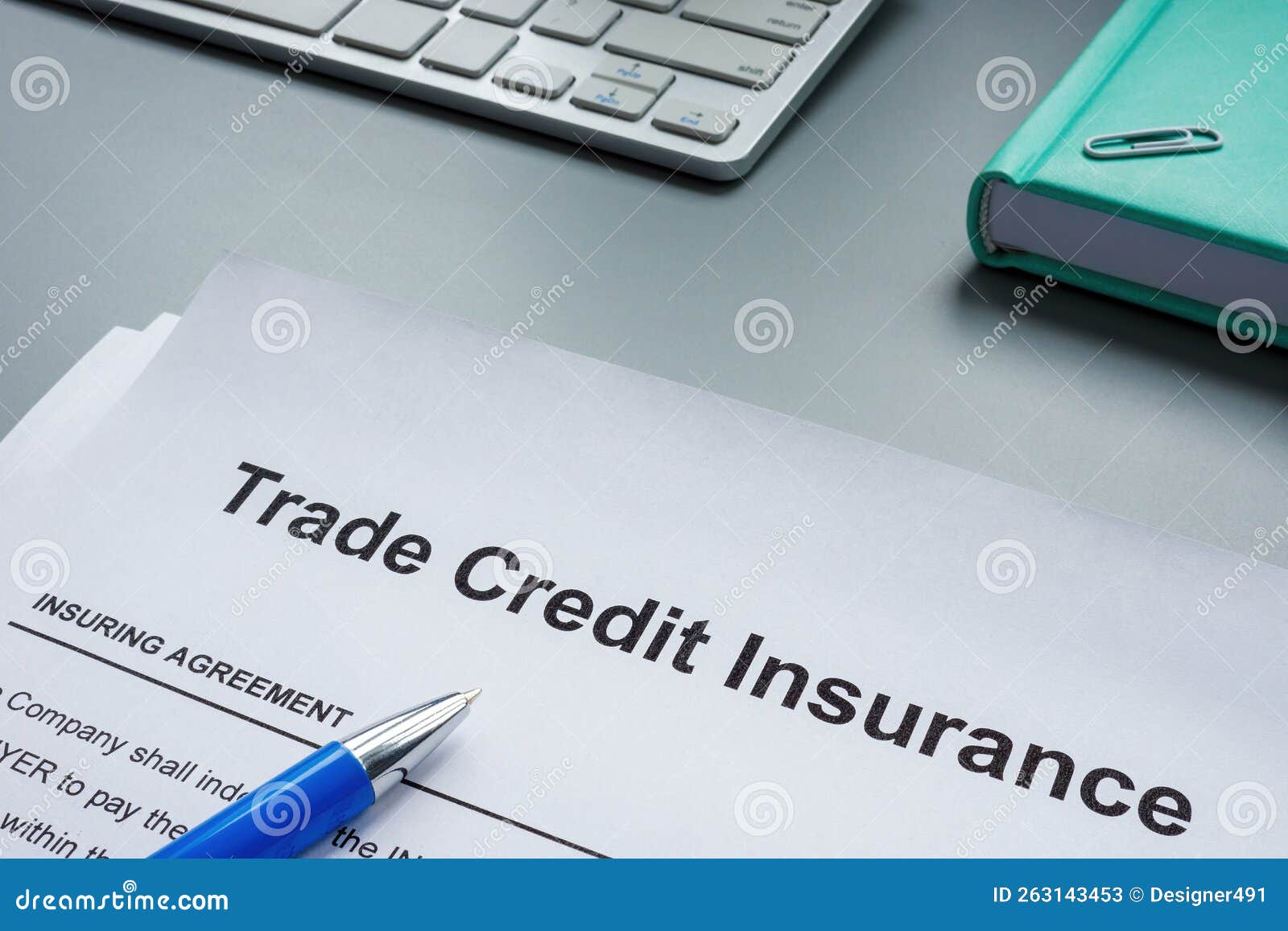 Trade Credit Insurance Application Form for Signing. Stock Image ...