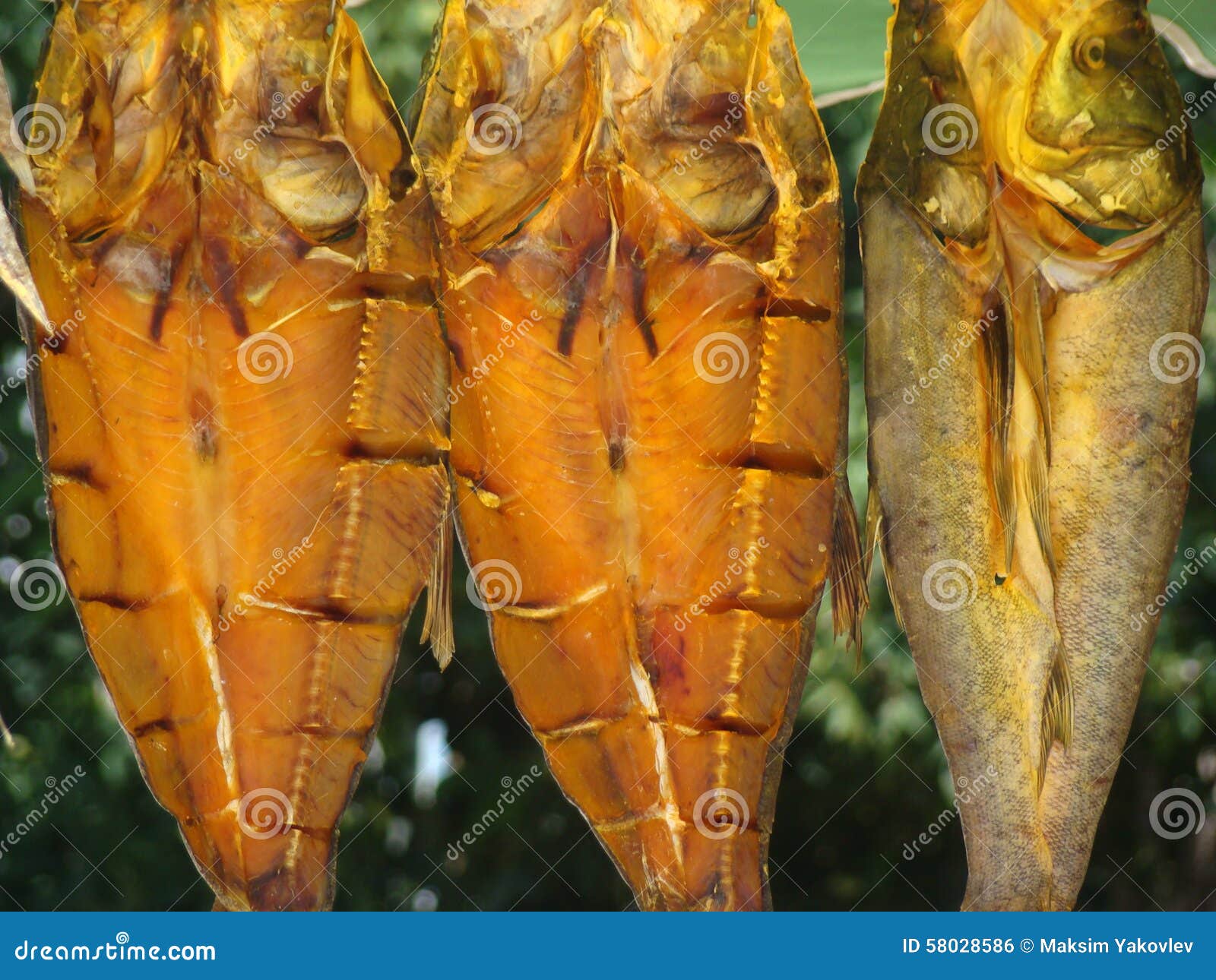 Trade of fish stock photo. Image of trading, smoking - 58028586