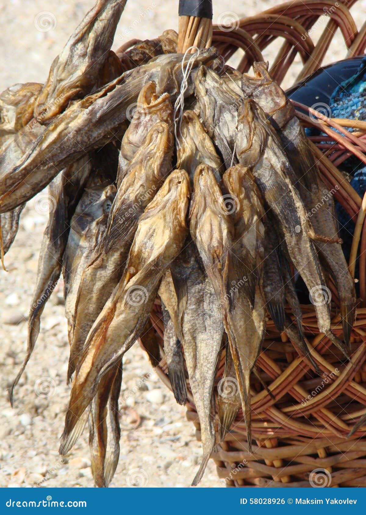 Trade of fish stock photo. Image of stockfish, fish, bazaar - 58028926