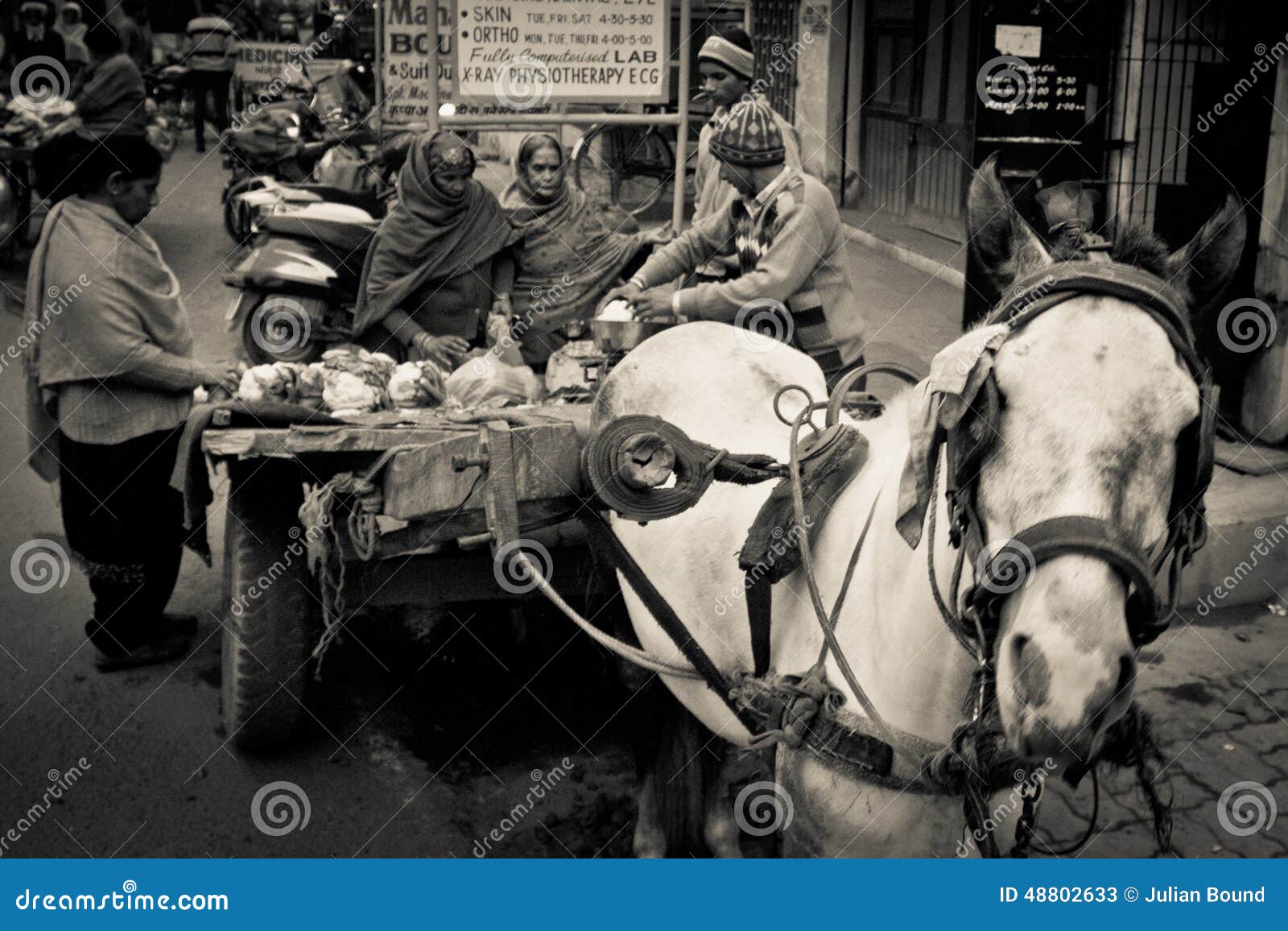Trader of Amritsar, Punjab, India Editorial Stock Photo - Image of ...