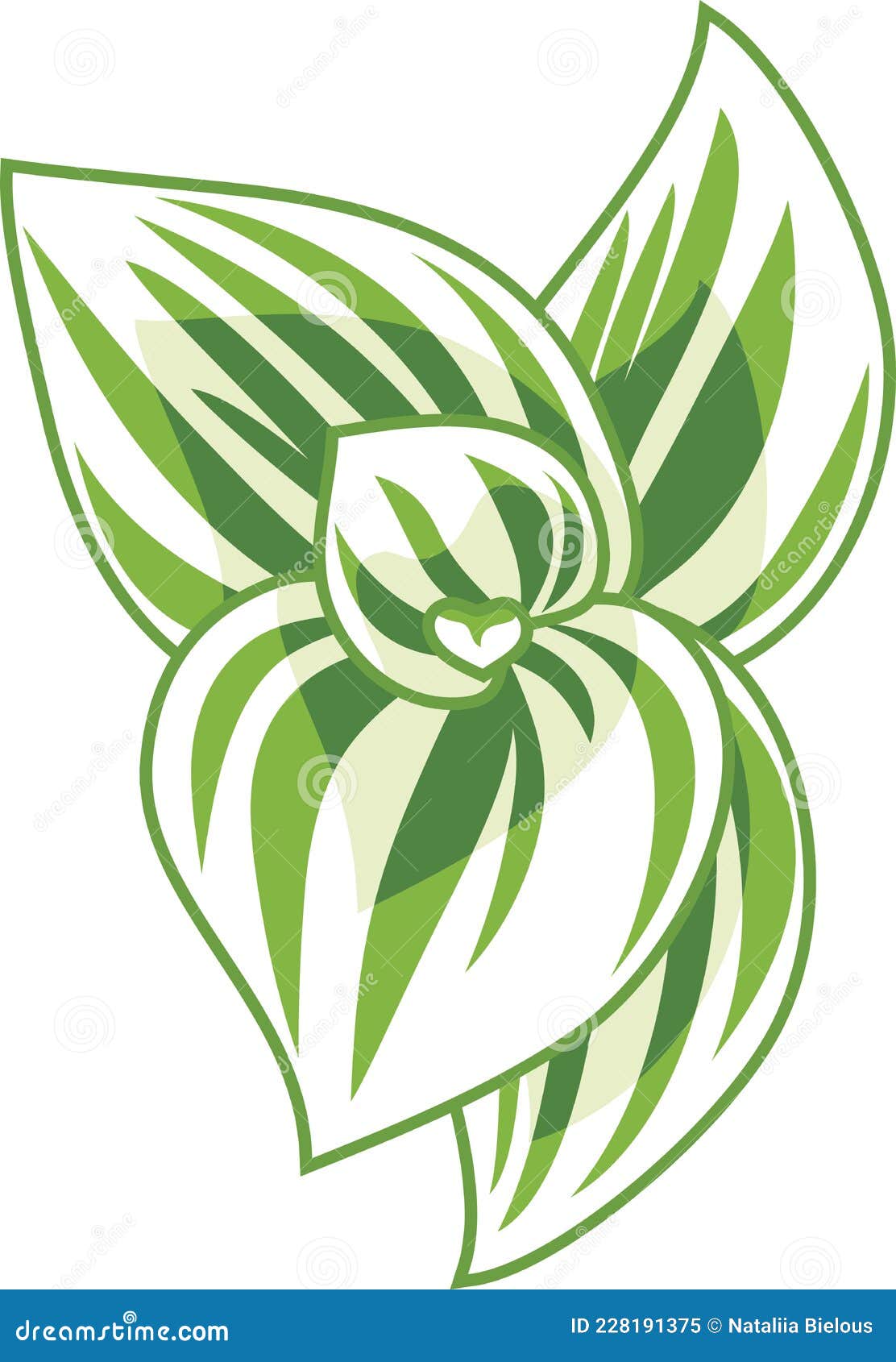 3d Illustration Of Set Tradescantia Pallida Plant Isolated On White ...