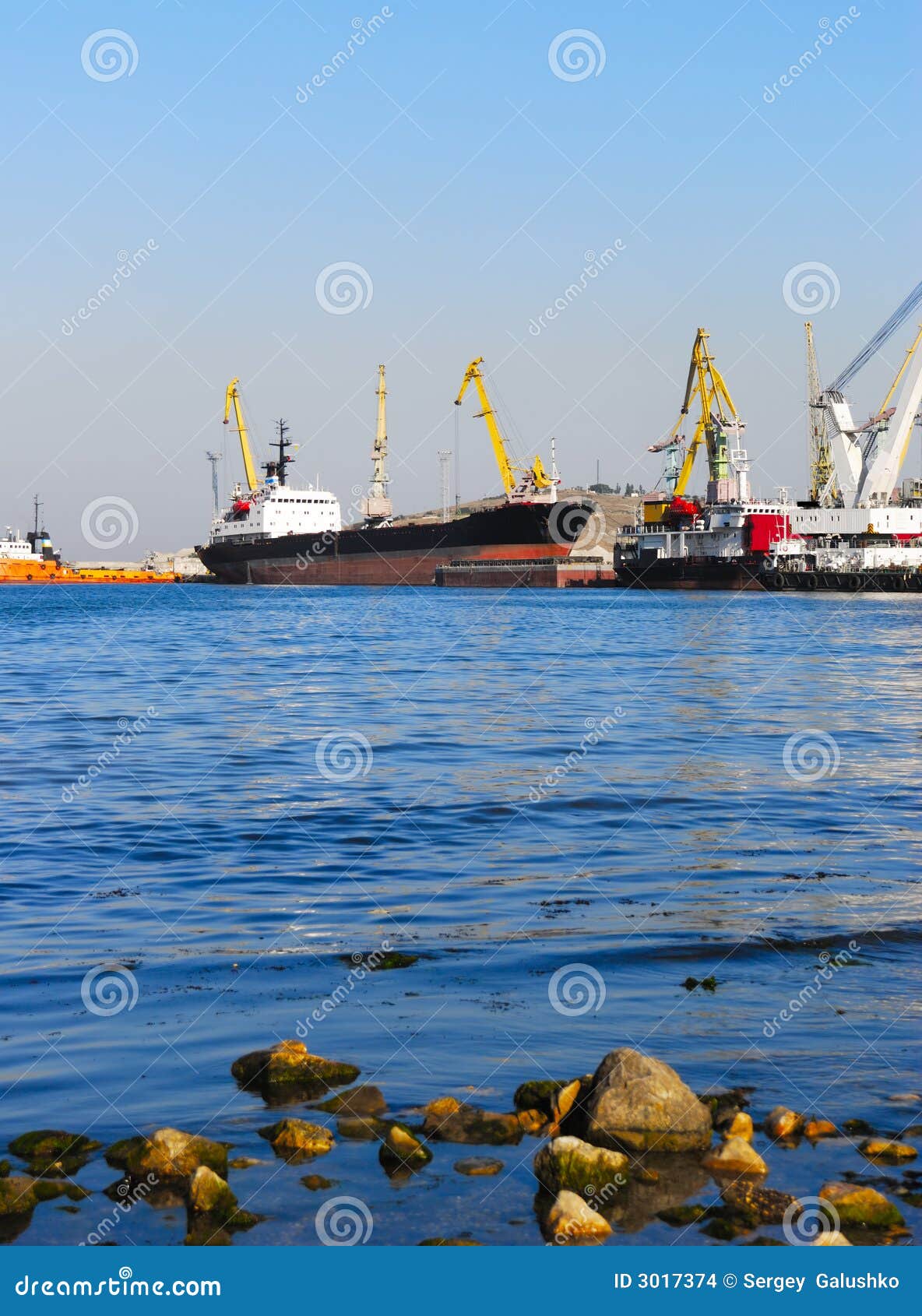 The Trading Ships In Port Picture. Image: 3017374