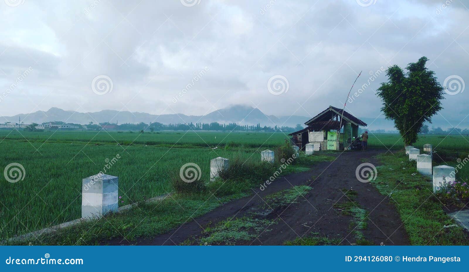 Tradisional Coffe Shop at Middle of Rice Field, East Java Editorial ...