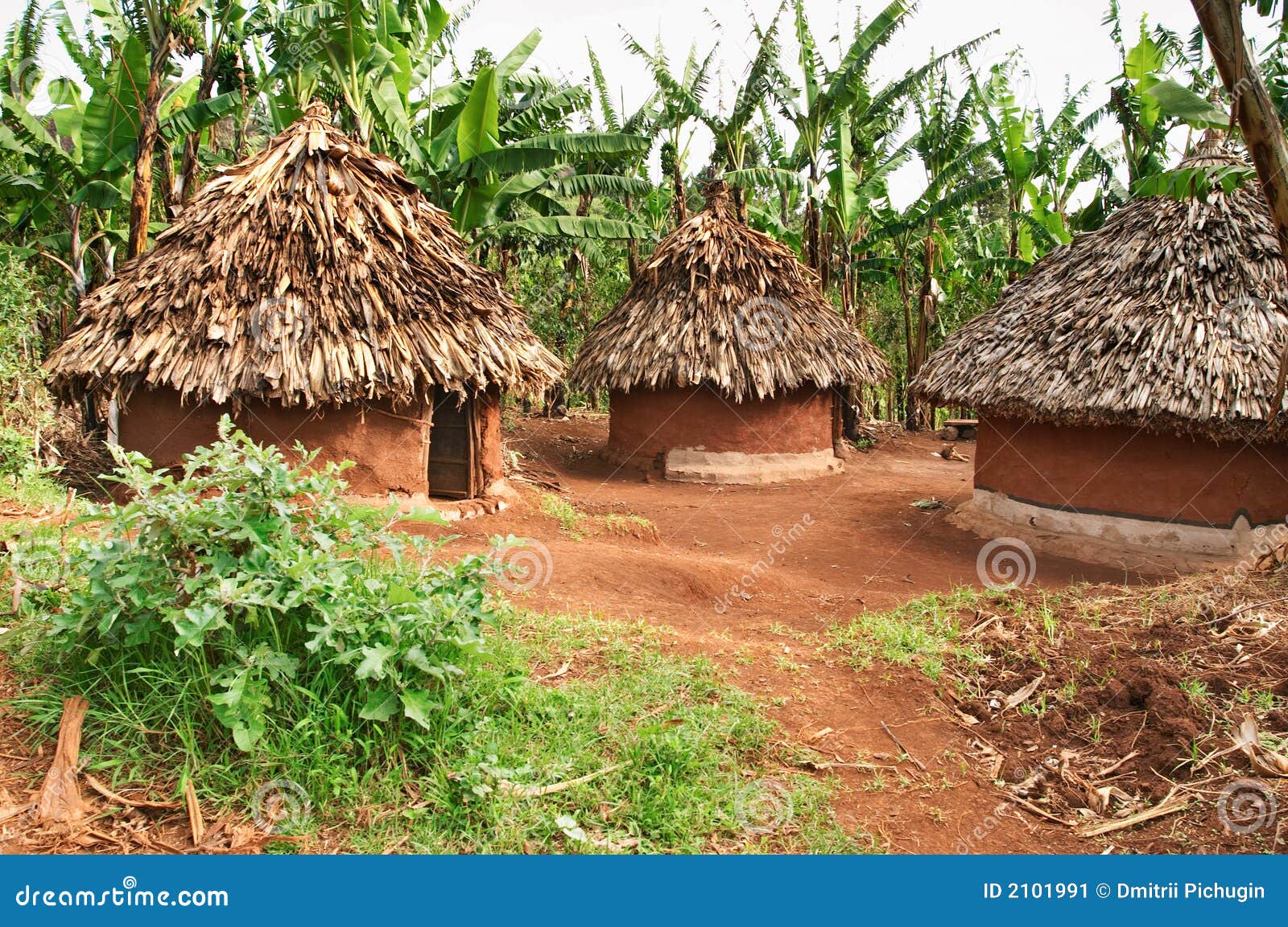 Traditional african huts stock image. Image of haulm, grass - 2101991