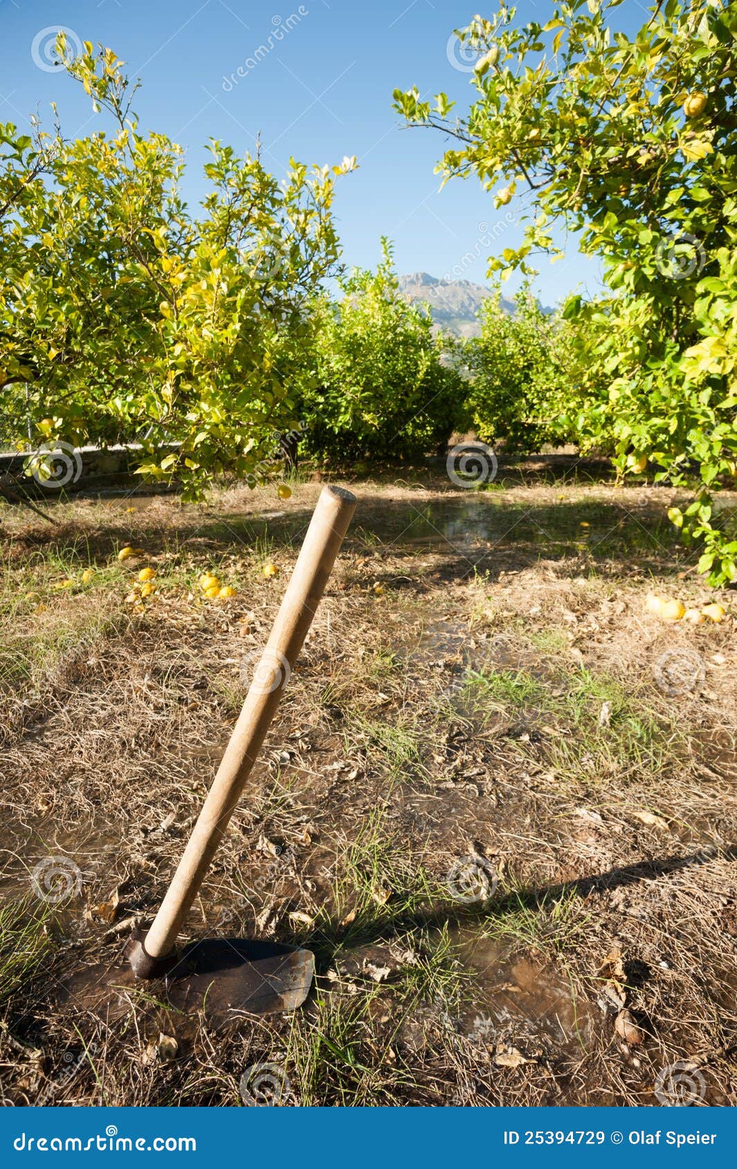 1,307 Traditional Hoe Stock Photos - Free & Royalty-Free Stock Photos ...