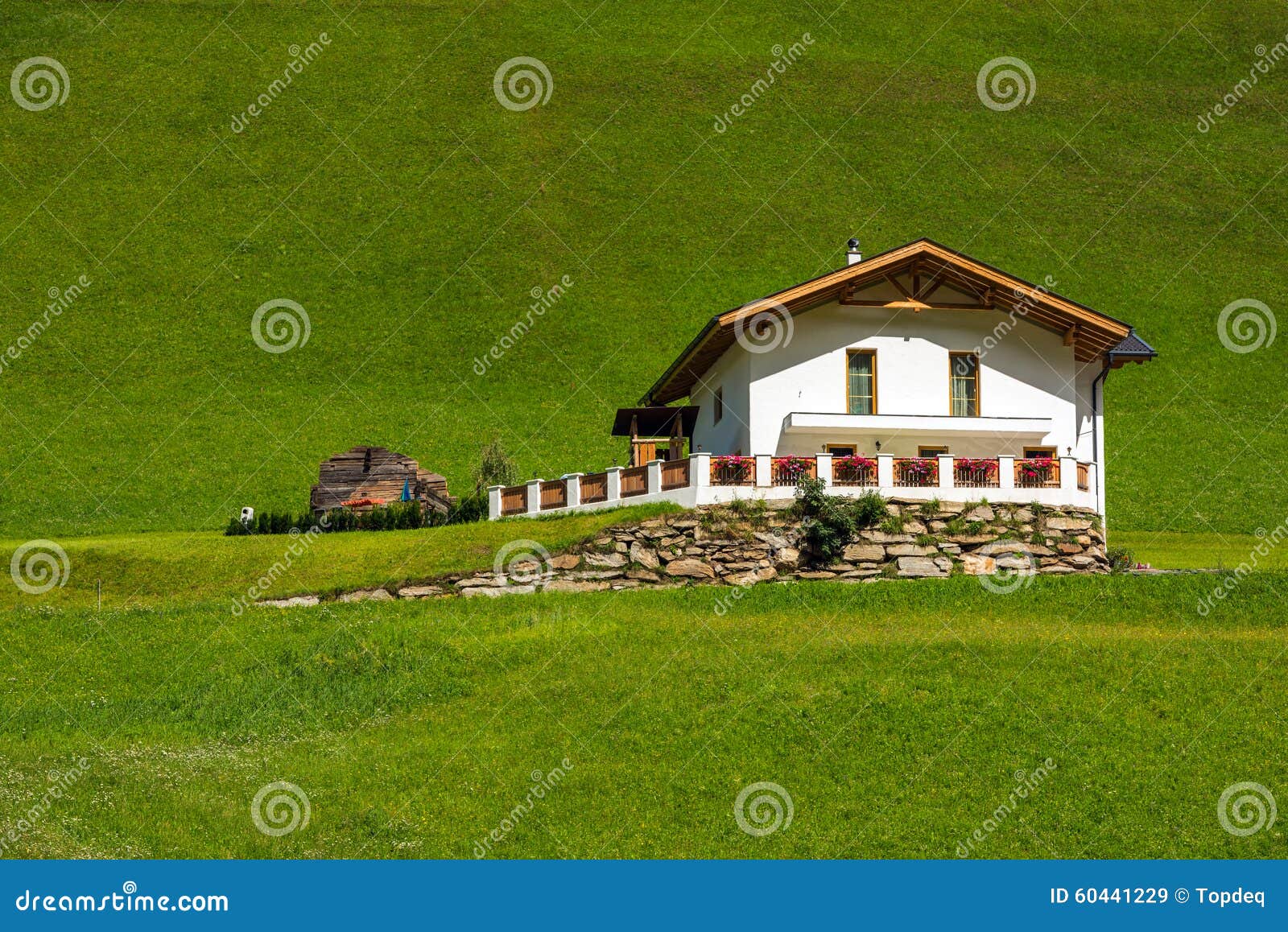 Traditional Alpine House on Green Meadow Stock Image - Image of ...
