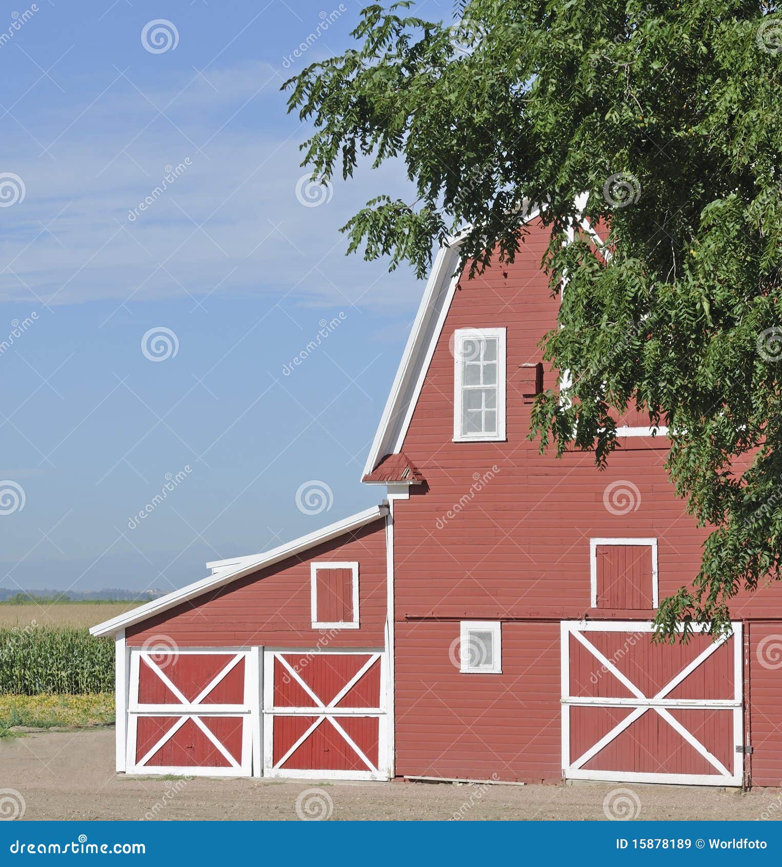 Traditional American Country Farm Stock Image - Image of green ...