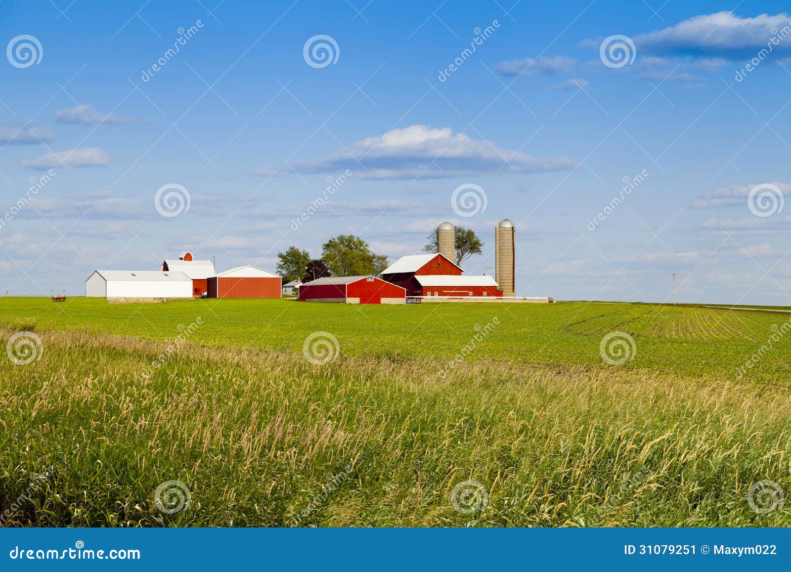 Traditional American Farm stock image. Image of farm - 31079251