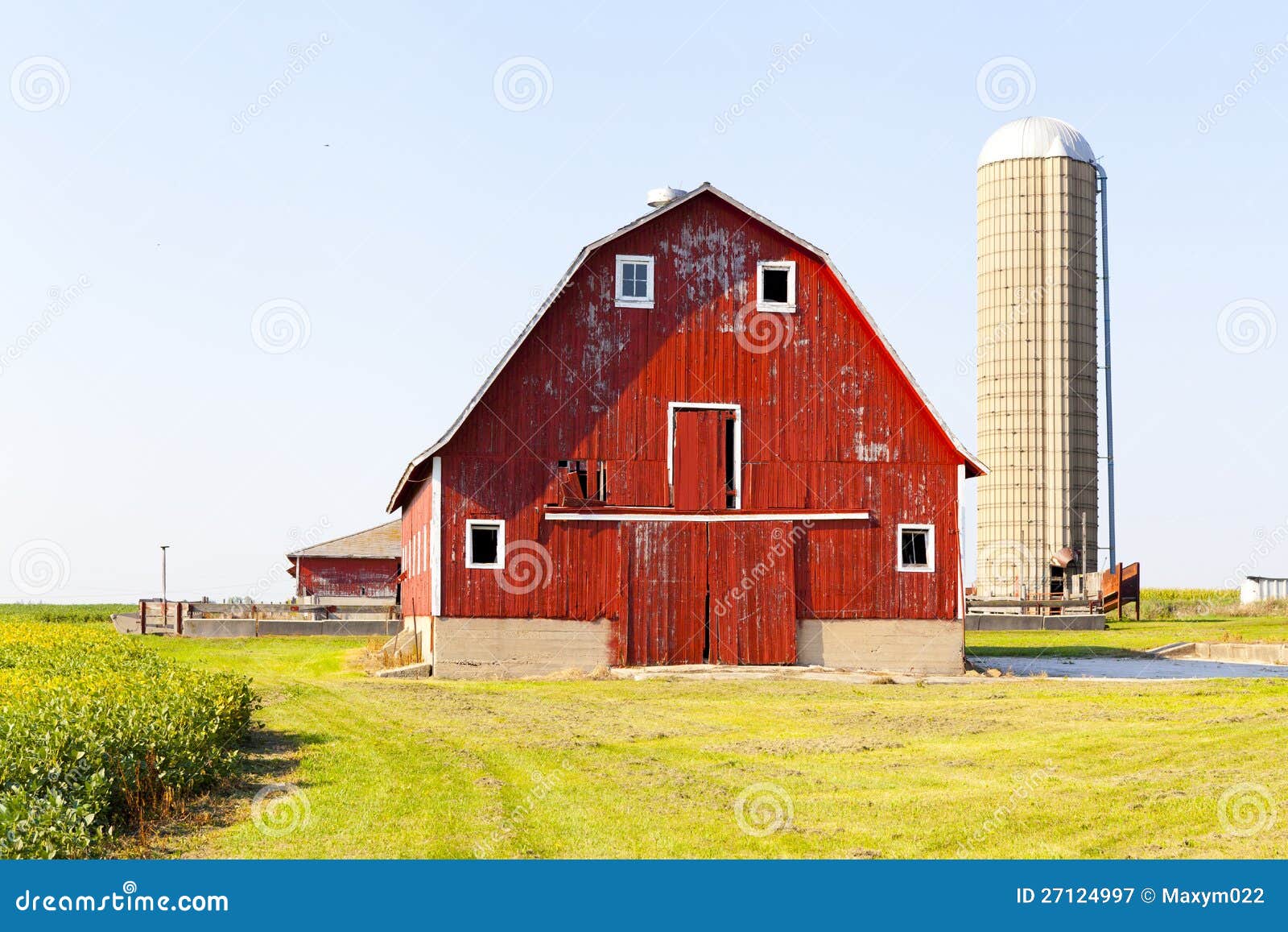 Traditional American Red Barn Stock Image - Image of cattle, factory ...