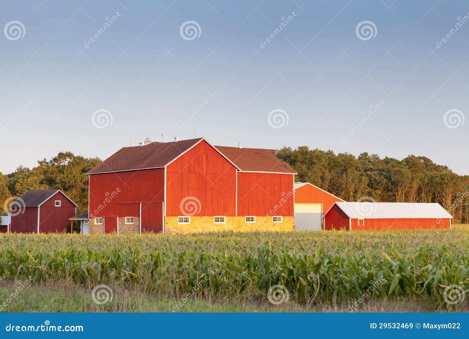 Traditional American Red Barn Stock Image - Image of barn, environment ...