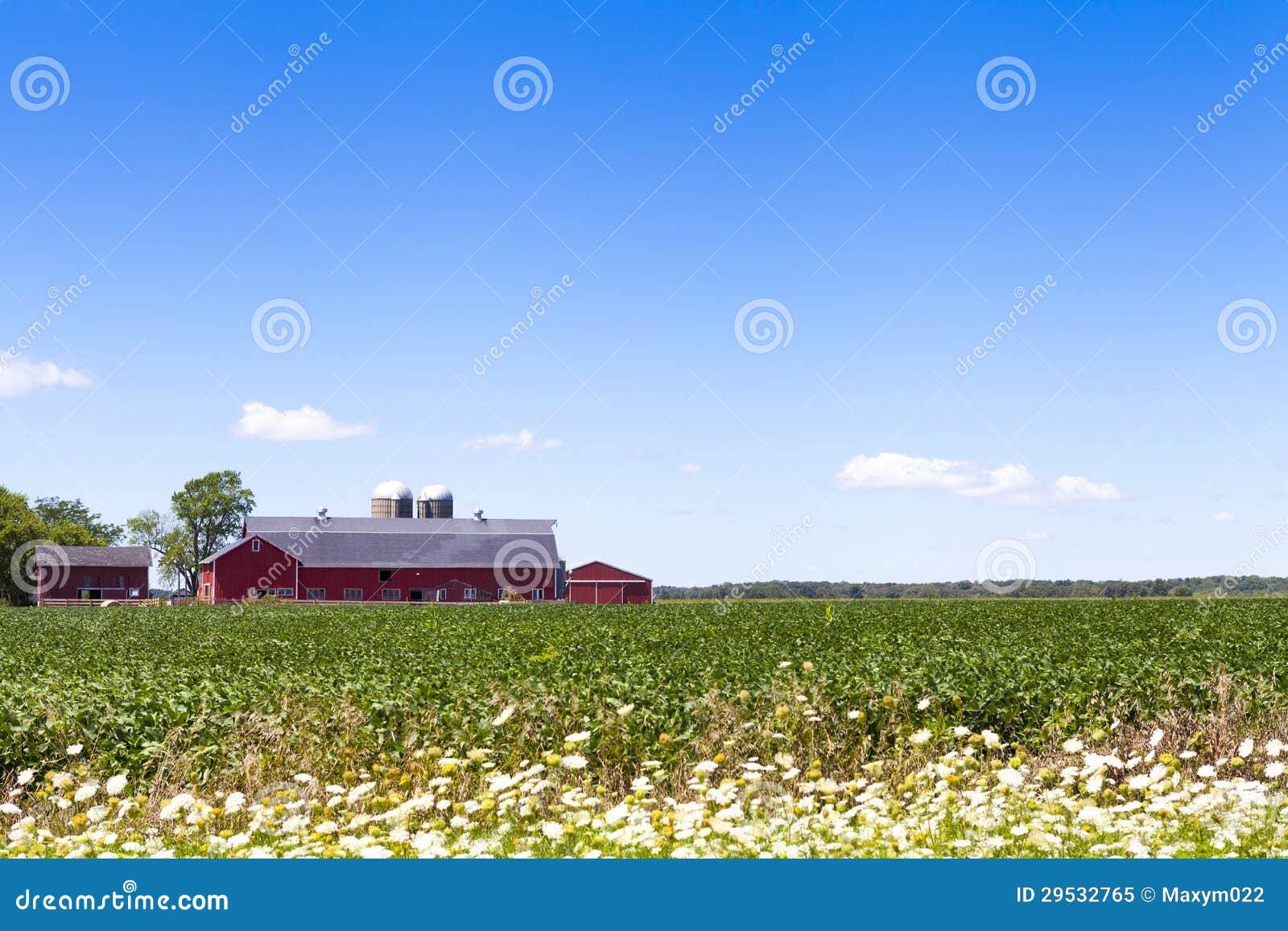 Traditional American Red Farm Stock Image - Image of earth, clean: 29532765