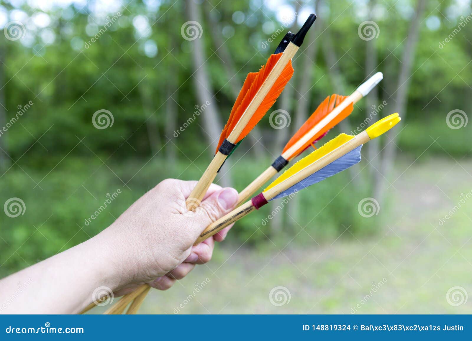 Traditional Arrows in Hand. Stock Photo - Image of hunter, competition ...