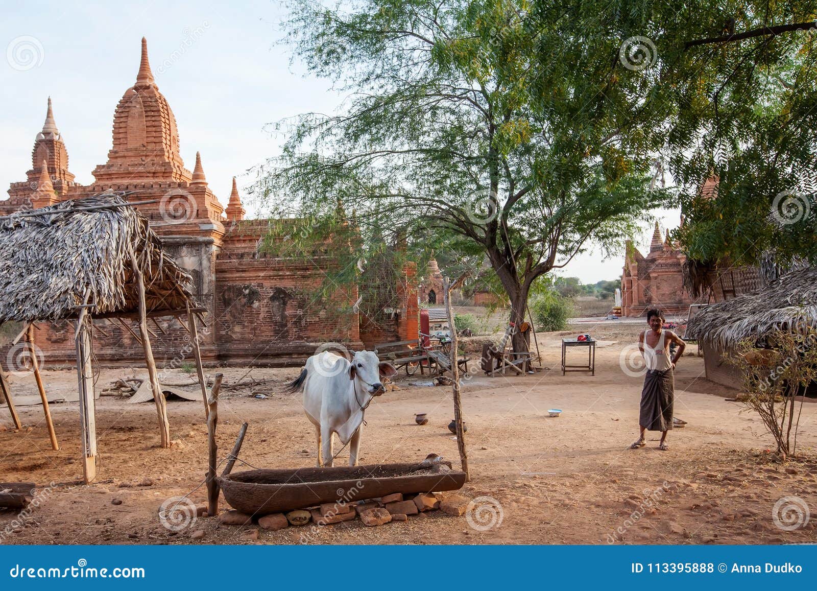 Traditional Asian Farmer in Bagan Editorial Stock Photo - Image of ...