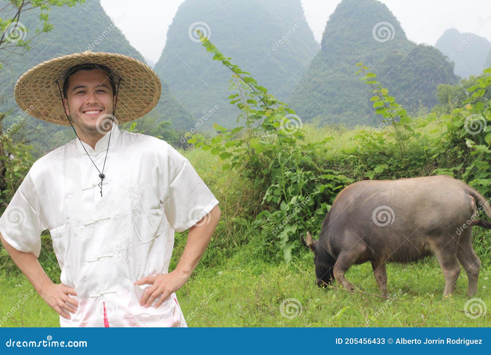 Traditional Asian Farmer with Ox Stock Image - Image of china, labor ...