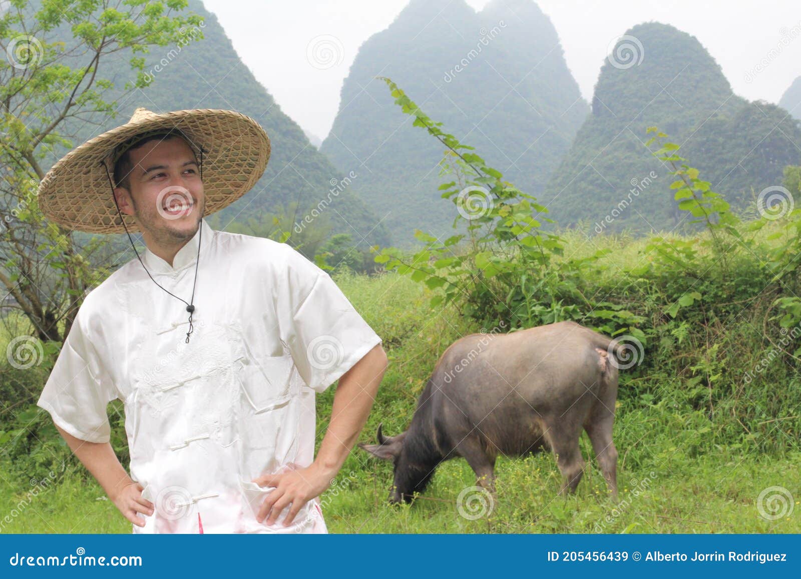 Traditional Asian Farmer with Ox Stock Image - Image of farming, local ...