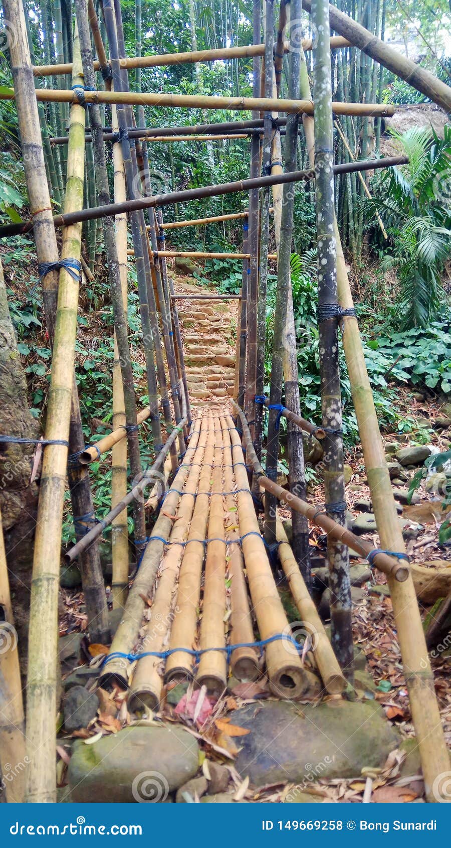 Traditional Bamboo Bridge Connecting People Stock Photo - Image of ...
