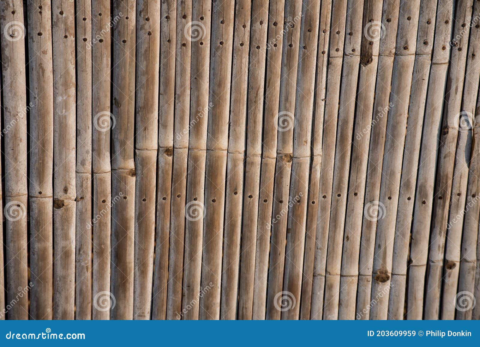 Traditional Bamboo Wall Built with Local Bamboo Strips Stock Image ...