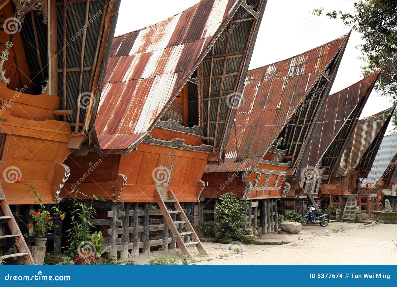 Traditional Batak Houses stock photo. Image of ethnic - 8377674