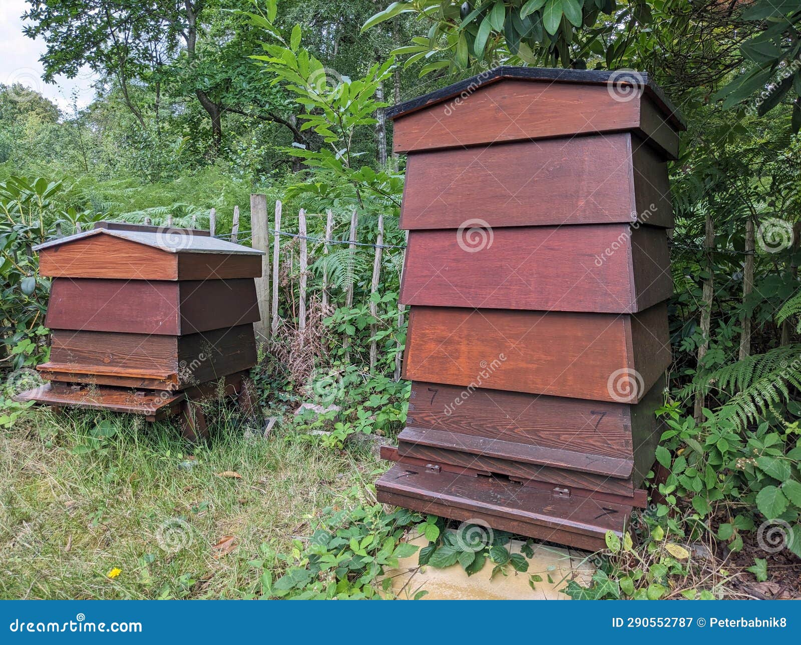 The Traditional Bee Hives on the Edge of the Forest Stock Image - Image ...