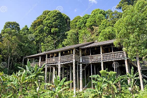 Traditional Borneo Native House Stock Photo - Image of native, sarawak ...