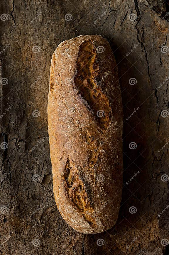 Traditional bread stock image. Image of tree, bread, food - 47356809
