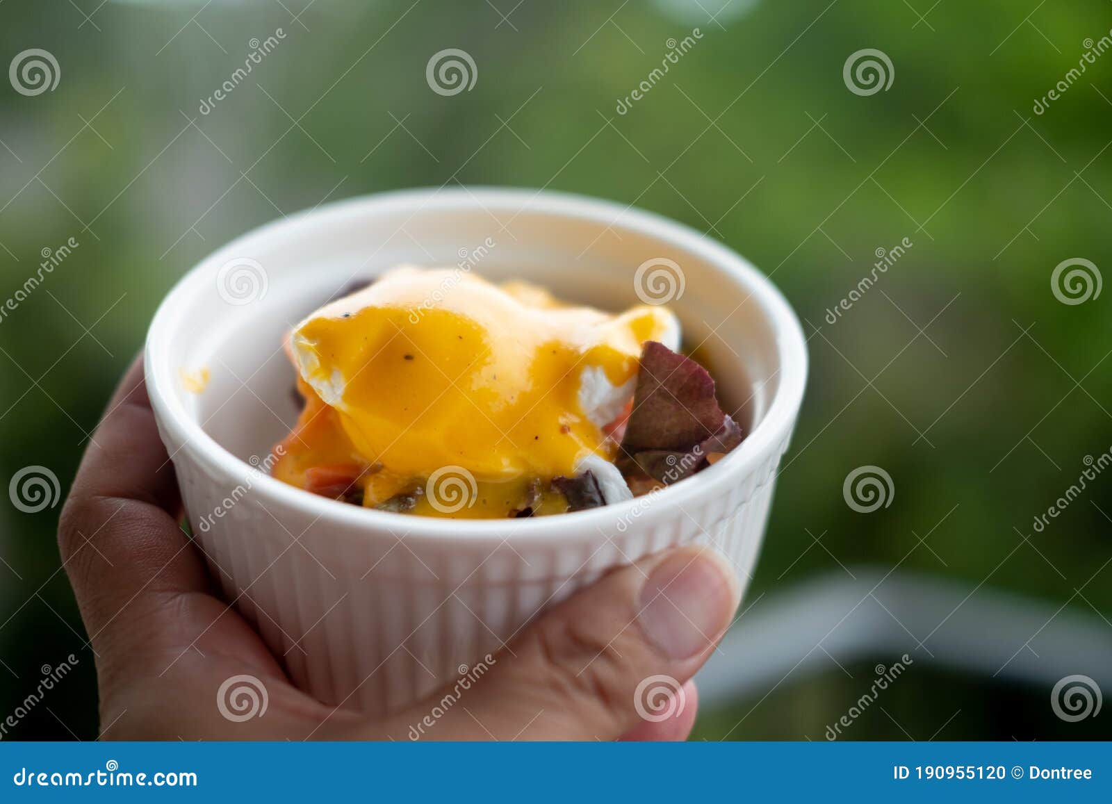 Traditional Breakfast. Eggs Benedict on a White Bowl Stock Photo ...