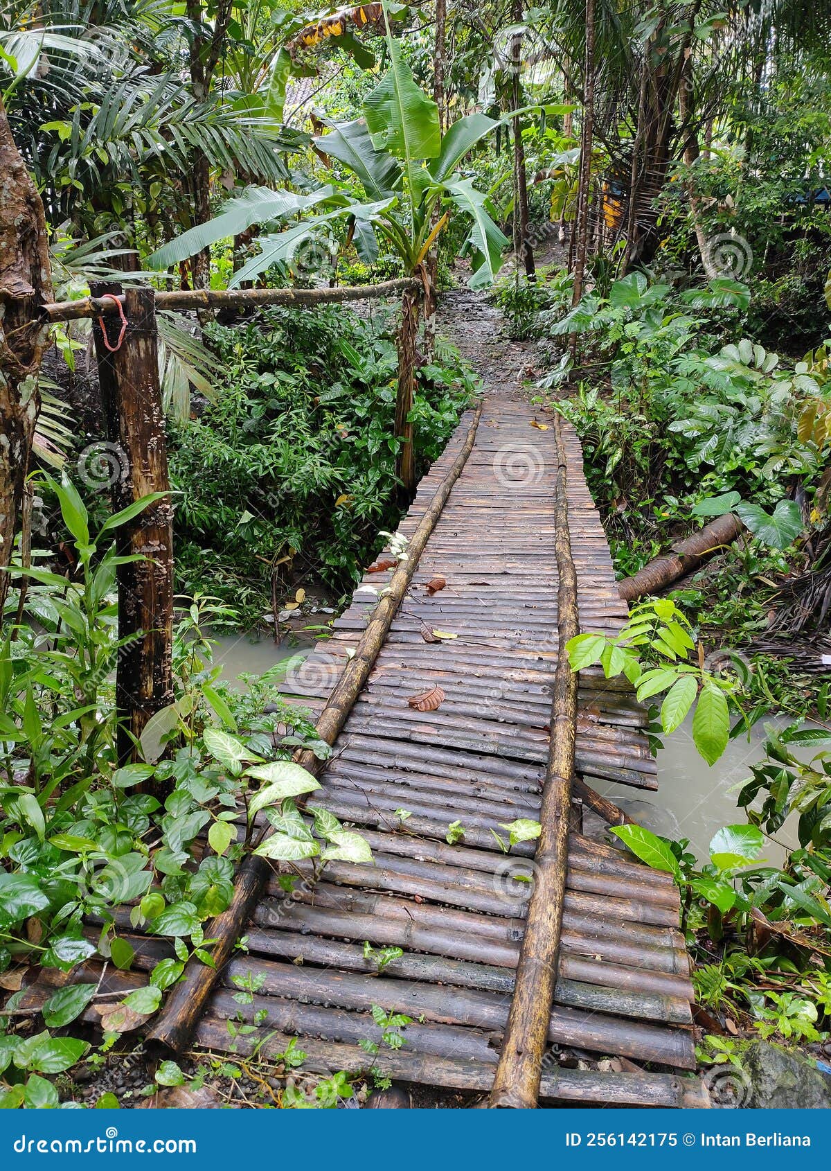 Traditional Bridge from Bamboo Stock Image - Image of water, bamboo ...