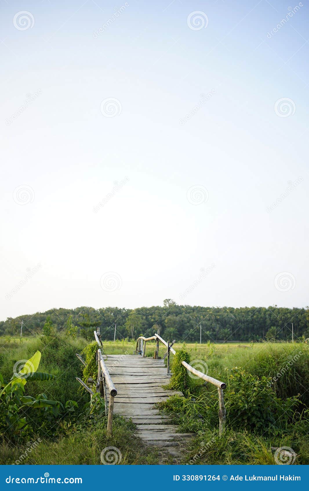 Traditional Bridge with Grass and Green Trees Stock Photo - Image of ...