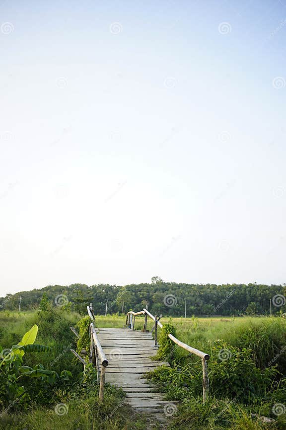 Traditional Bridge with Grass and Green Trees Stock Photo - Image of ...