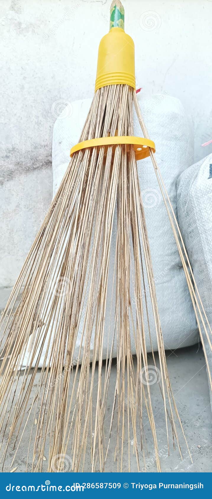 The Traditional Broom from Indonesia is Called & X22;Sapu Lidi& X22 ...