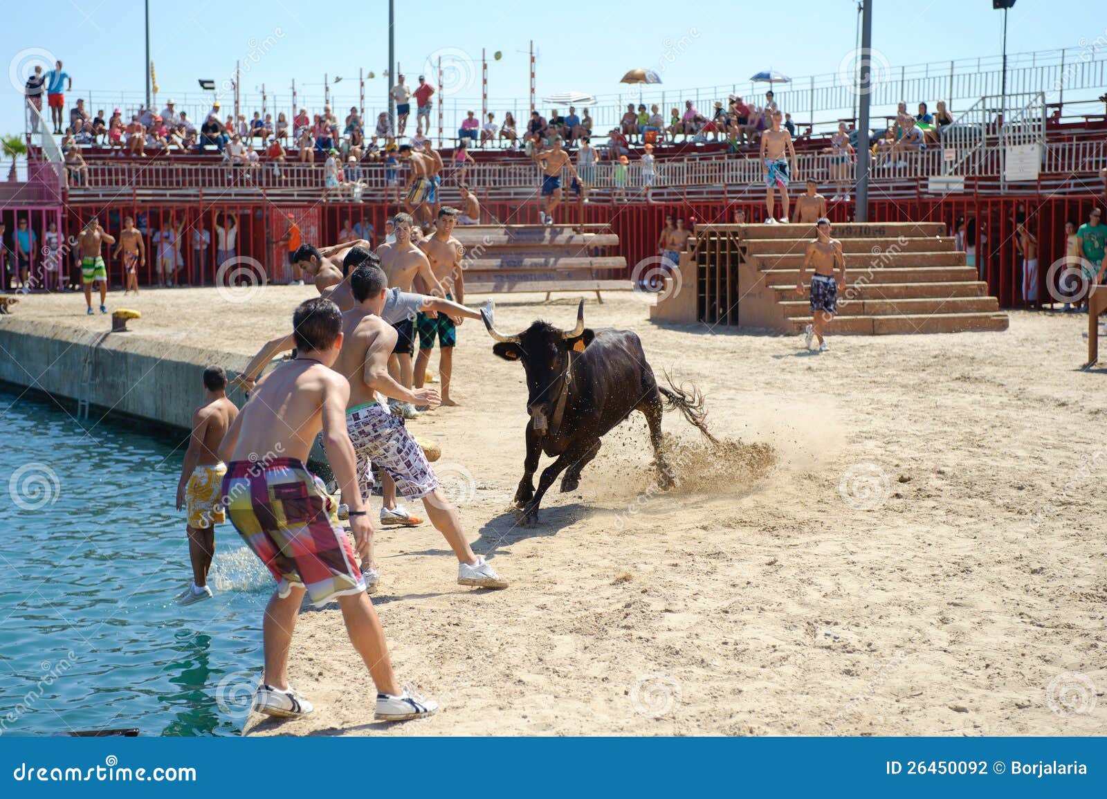 Traditional Bull Party in Javea, Spain Editorial Photography - Image of ...