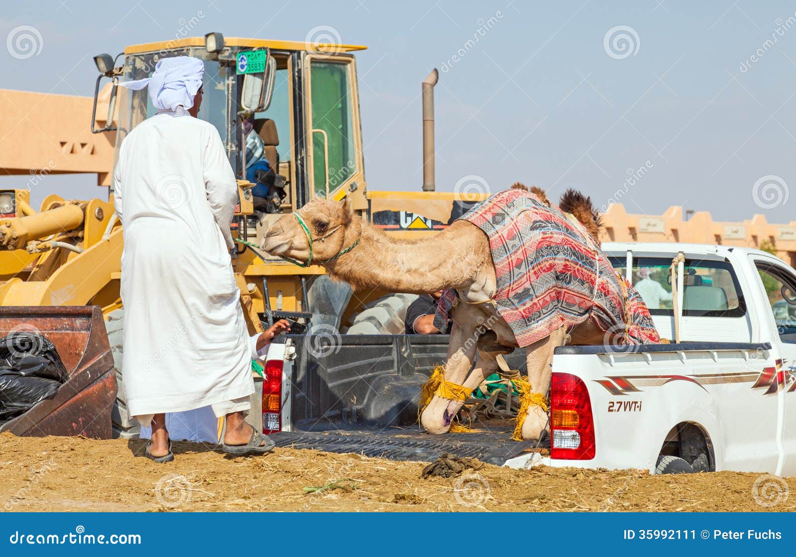 Traditional Camel Market in Al Ain in the UAE Editorial Photo - Image ...