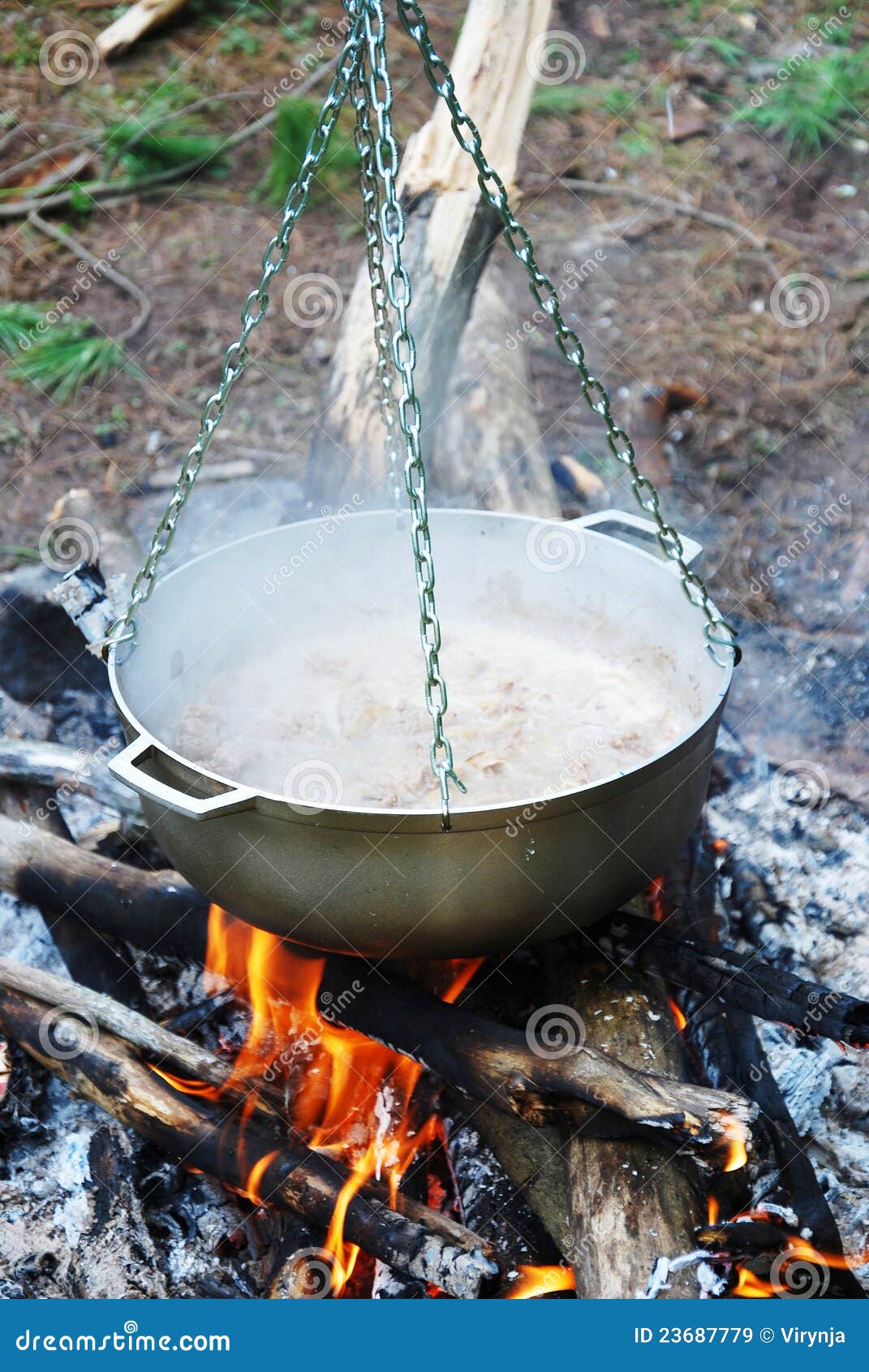 Traditional Campfire Cooking Stock Image - Image of nature, cattle ...