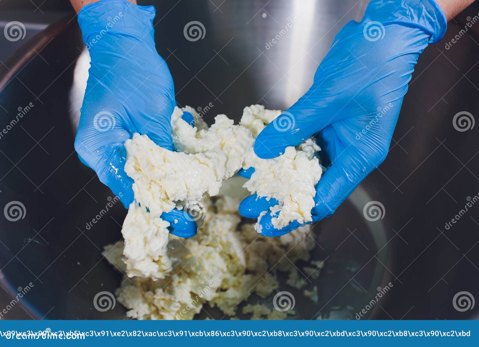 Traditional Cheese Making in a Small Company. Cheese Maker Hands Close ...