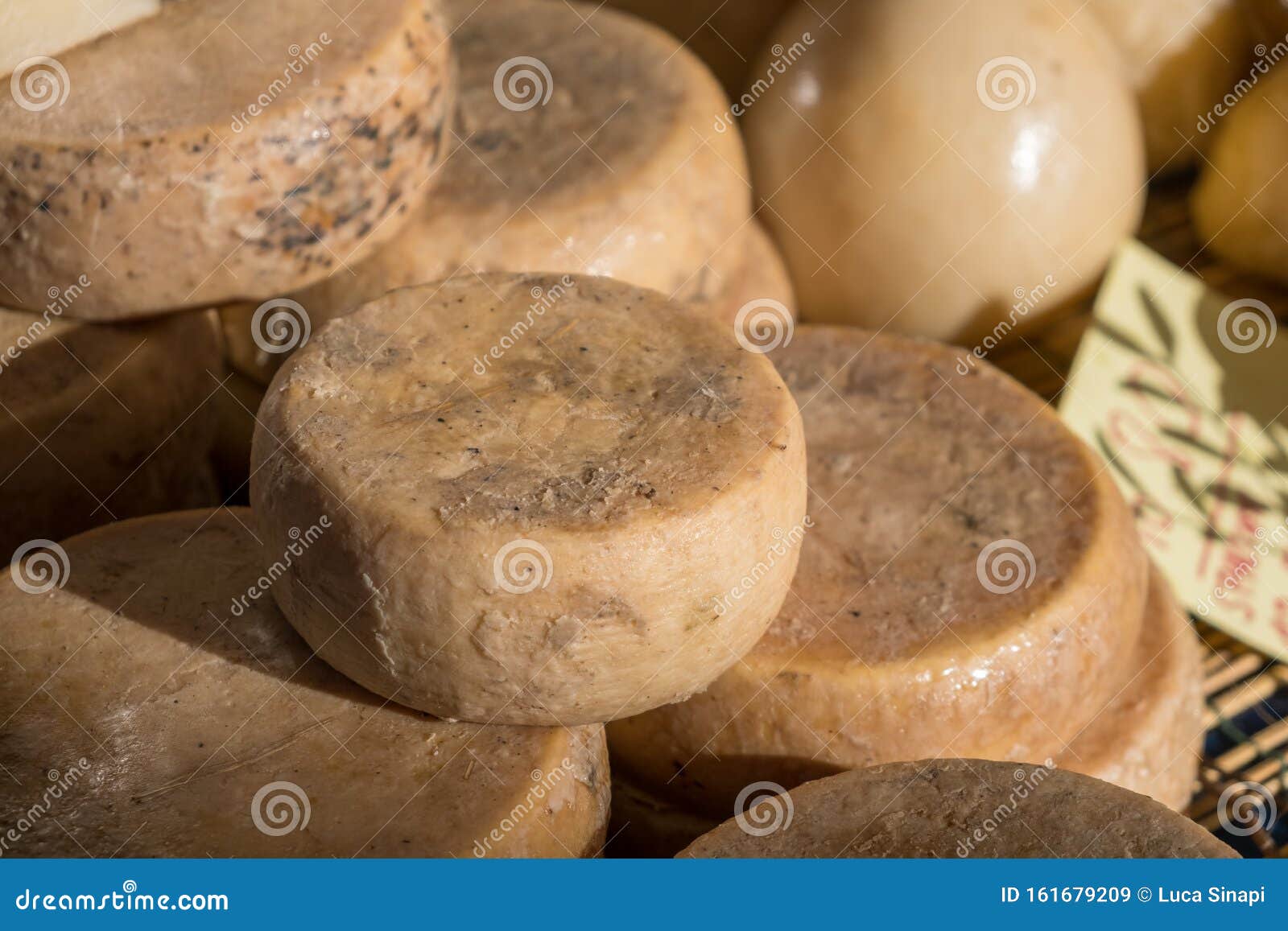 Traditional Cheese with Worms. Banned and Illegal Cheese with Flies and ...
