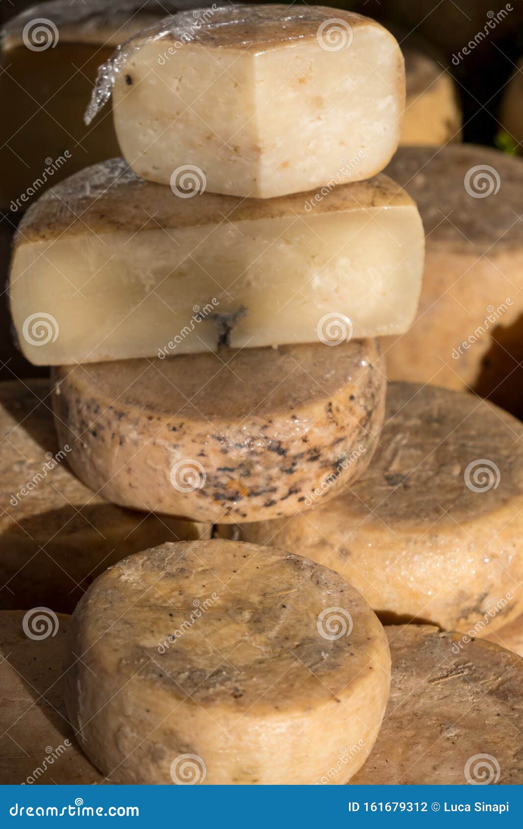 Traditional Cheese with Worms. Banned and Illegal Cheese with Flies and ...
